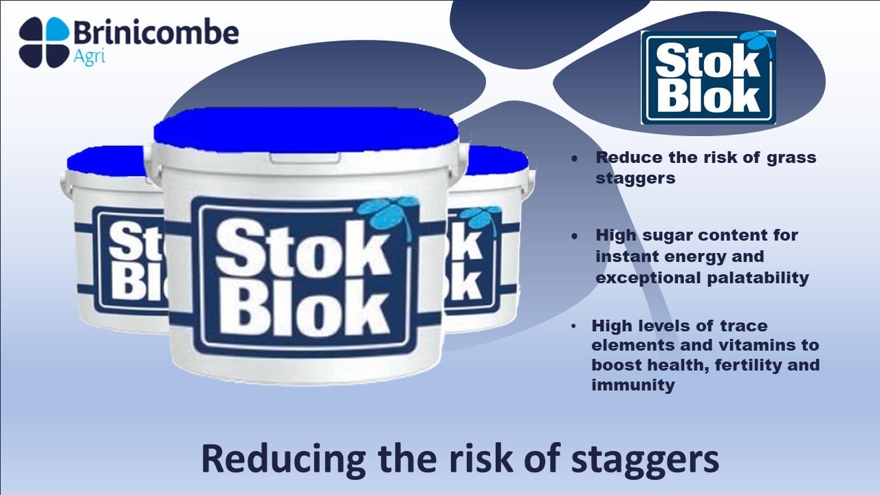 Product of the week! - Brinicombe