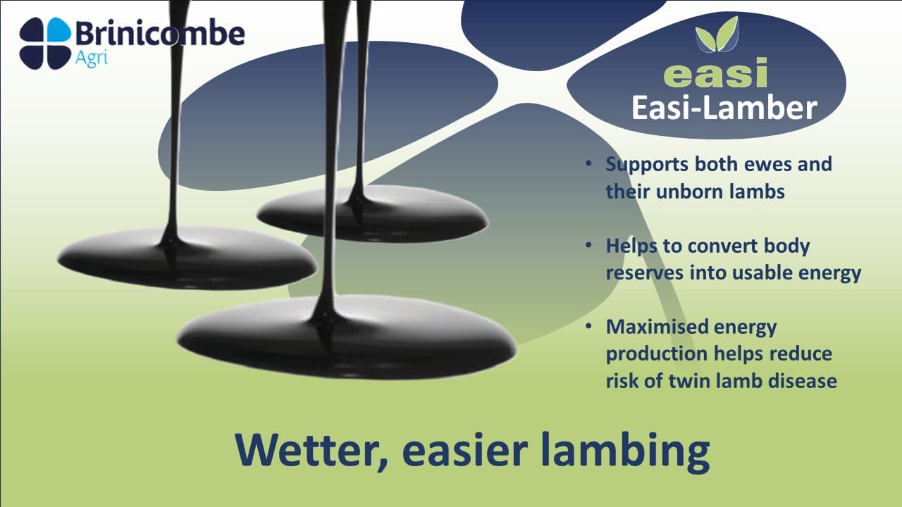 Product of the week! - Brinicombe