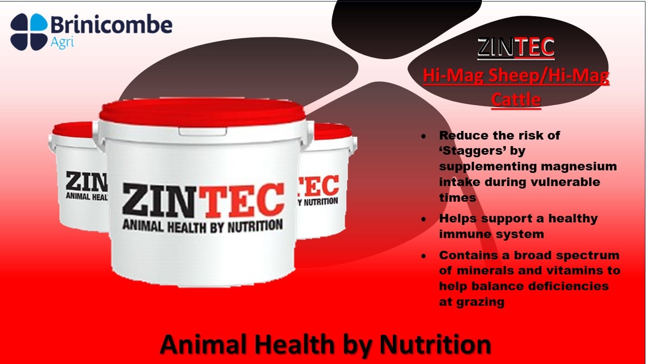 Product of the week! - Brinicombe